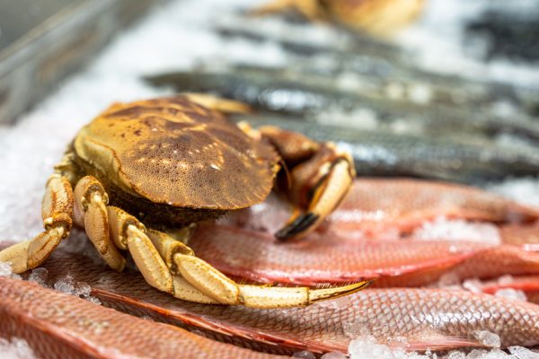 Cosmo's Fresh Market | Natural & Organic | Hewitt, NJ