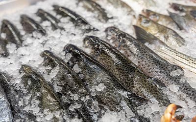 Departments | Cosmo's Fresh Market